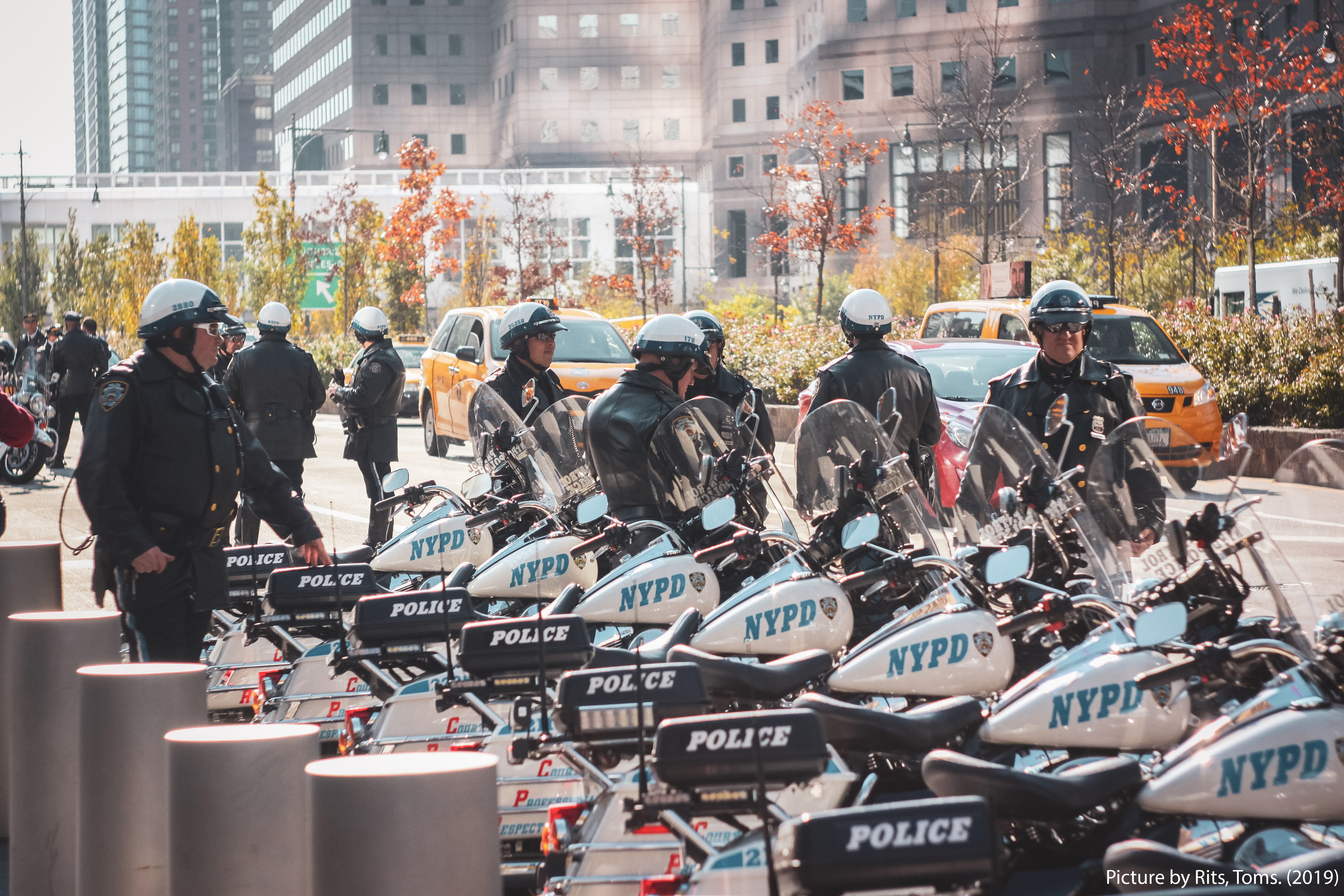 Dataspace|NYPD|Mod 1